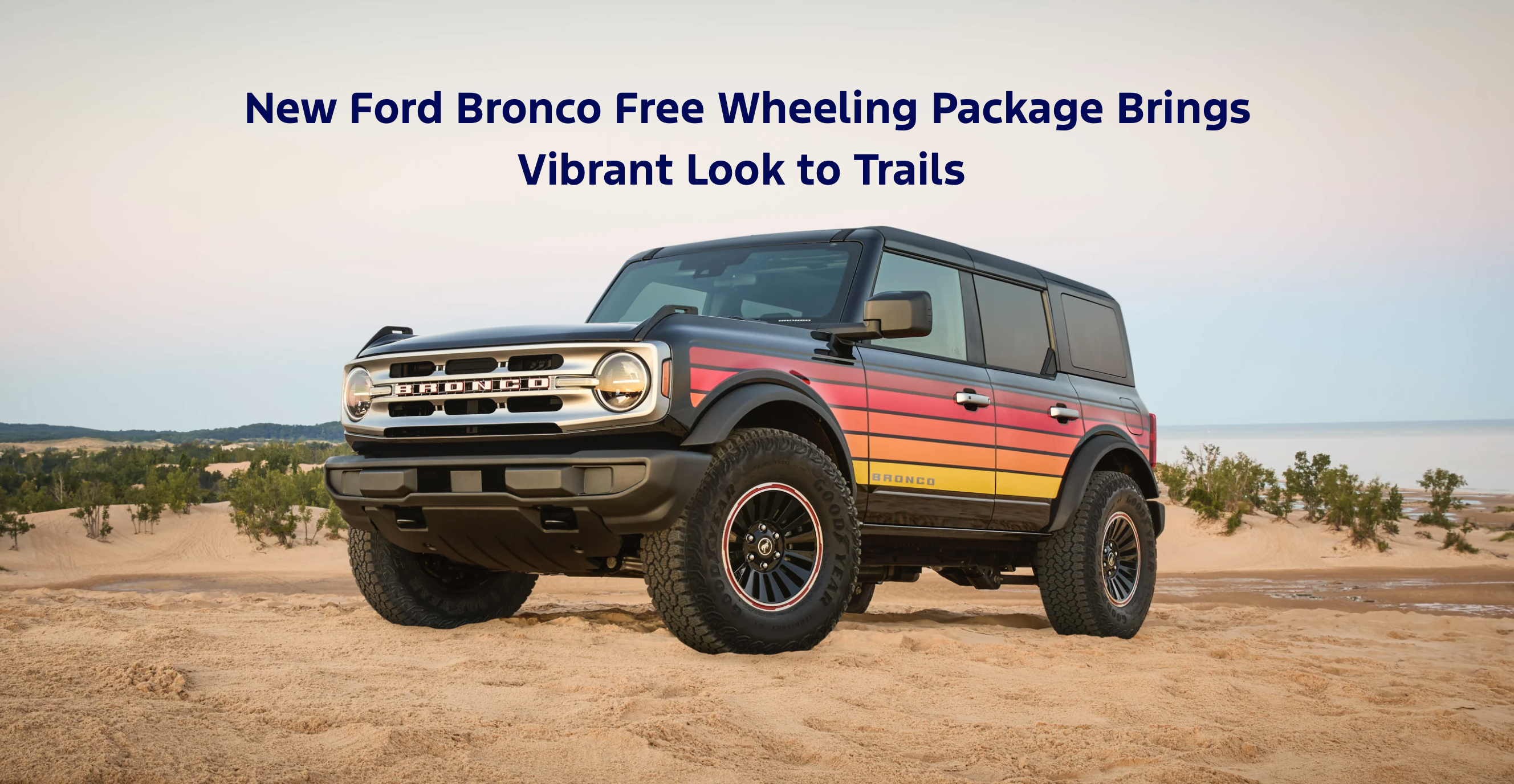 Ford Bronco Free Wheeling | Planet Ford Humble | Planet Ford 59