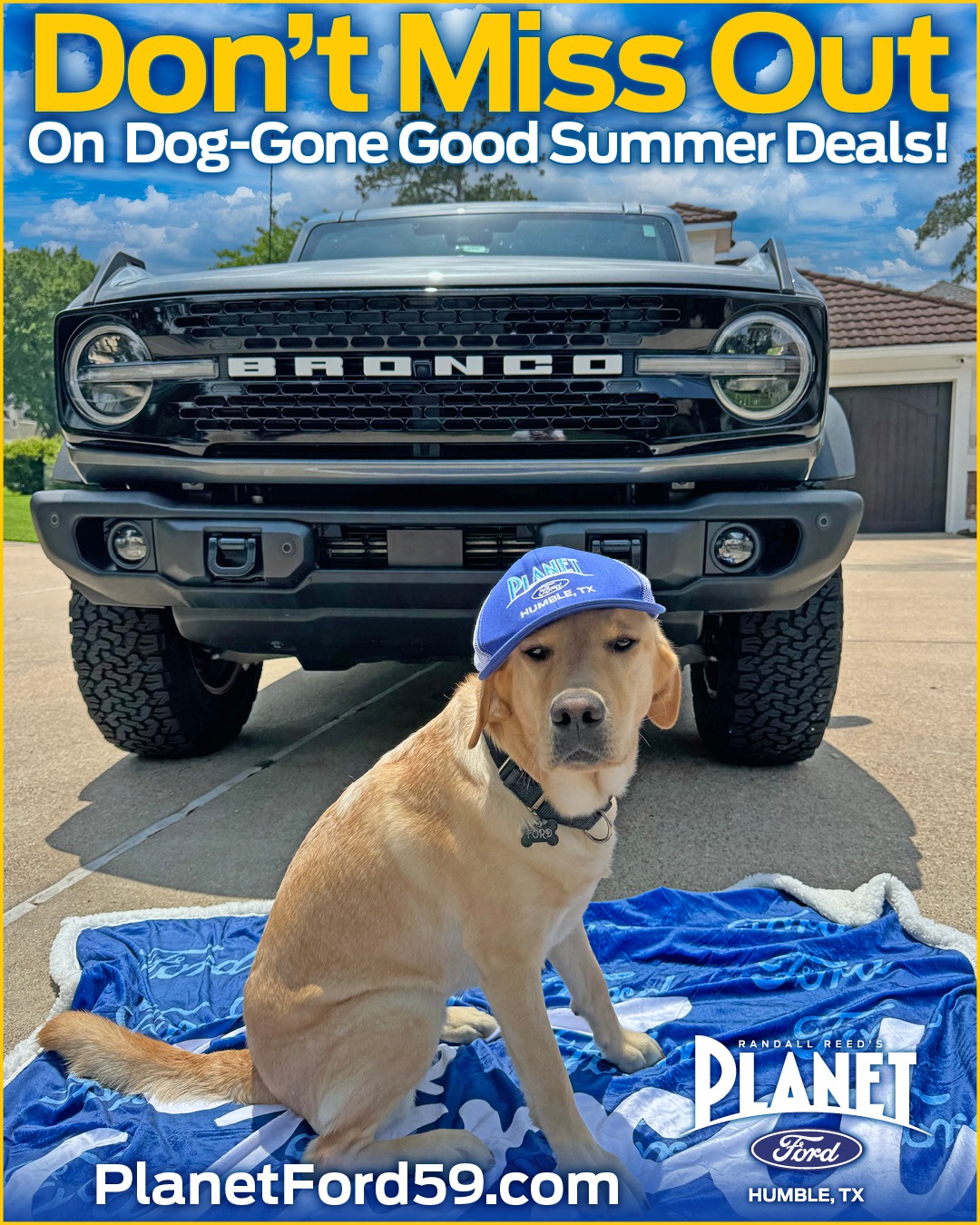 Ford, the Planet Ford Mascot & Wonder Dog | Planet Ford 59